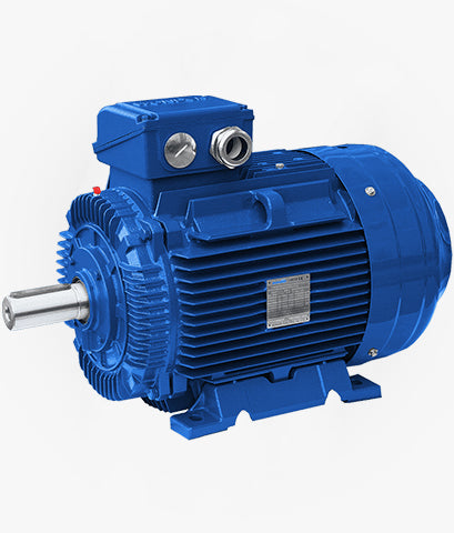 Wonder Electric Motors – Flowrate